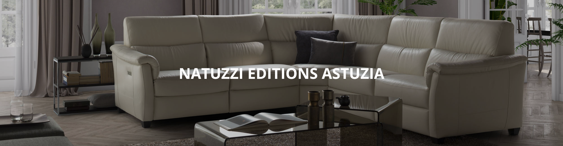 Natuzzi Editions Astuzia | Cookes Furniture