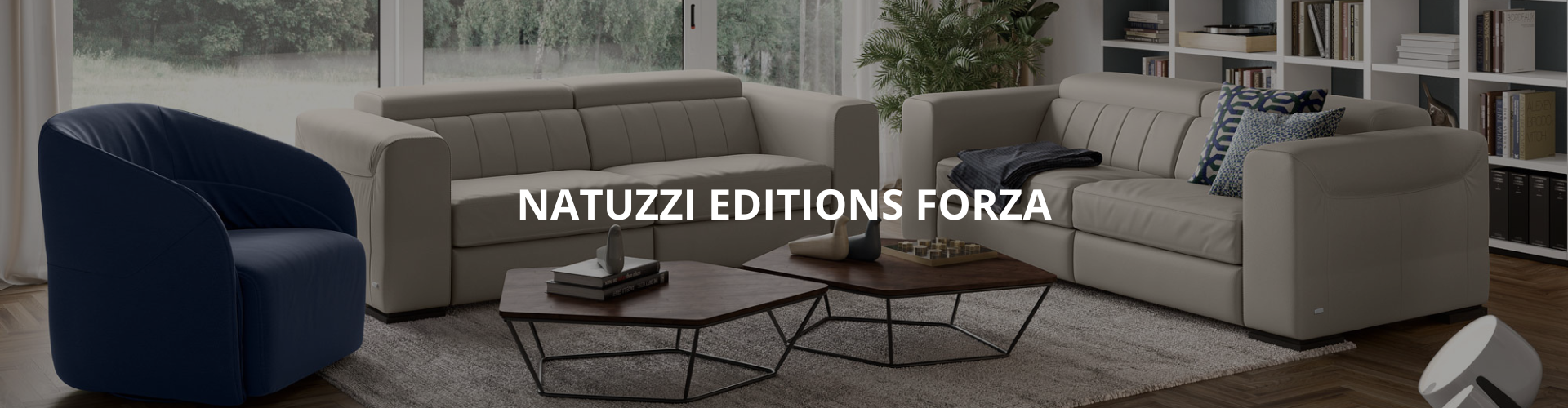 Natuzzi Editions Forza | Cookes Furniture
