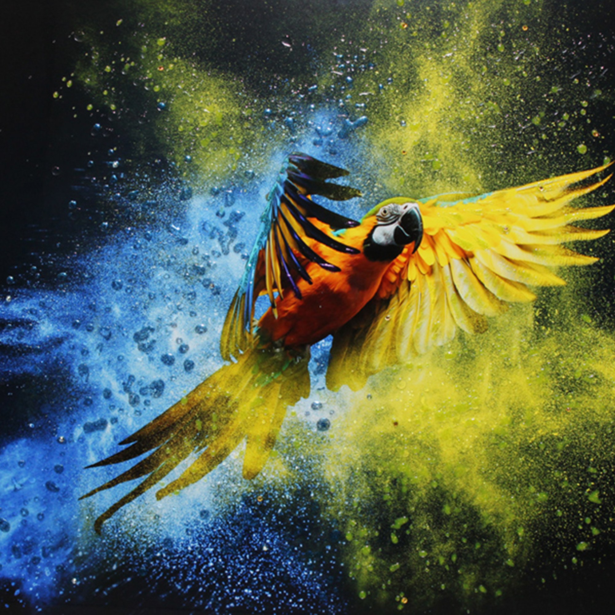 Pictures Flying Colours III Liquid Art Framed Print | Cookes Furniture